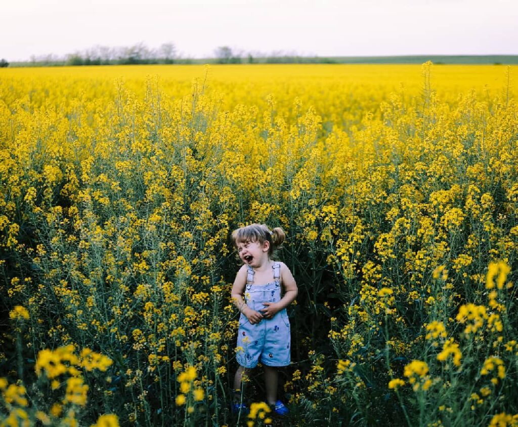 Felicia Simion Photography – Felicia Simion Photography