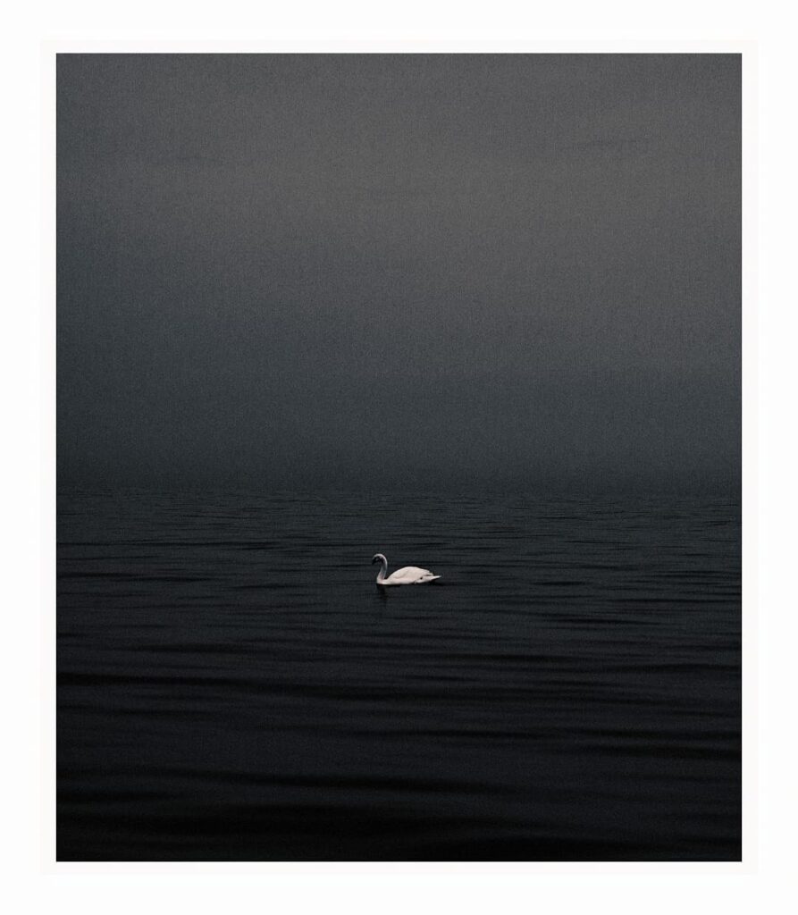 Felicia Simion Photography – Felicia Simion Photography