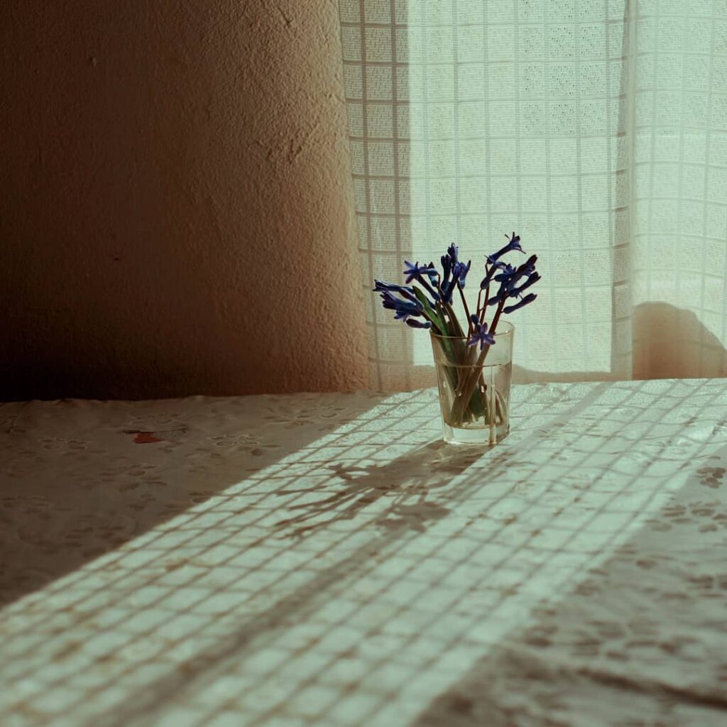 Felicia Simion Photography – Felicia Simion Photography